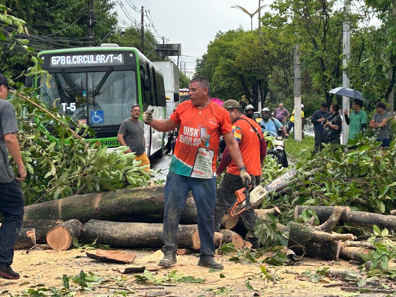 Árvore cai após forte chuva e interdita avenida em Manaus